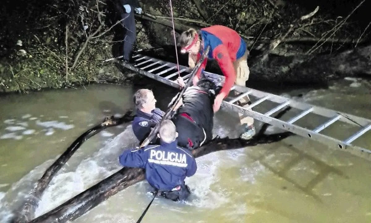 Ob smrti kurdske deklice v Dragonji