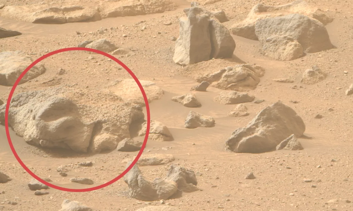 Na Marsu odkrili »odsekano glavo«, ki buri domišljijo strokovnjakov