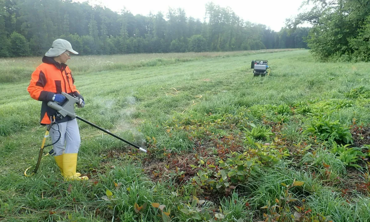 Nad invazivne rastline z elektriko