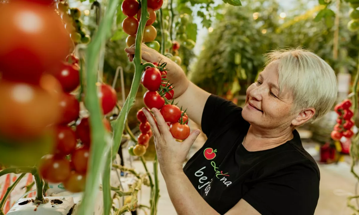 Rastline so življenje, dajejo nam 80 odstotkov hrane in 98 odstotkov kisika