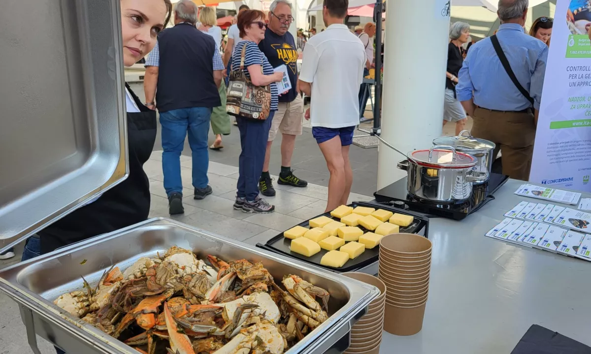 Invazivna, a tudi okusna: Čezmejna vojna s požrešno modro rakovico