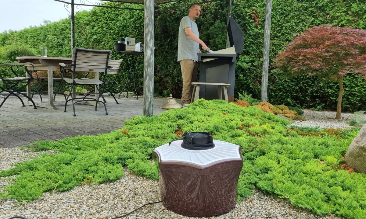 Kako se učinkovito znebiti nadležnih komarjev na vašem vrtu