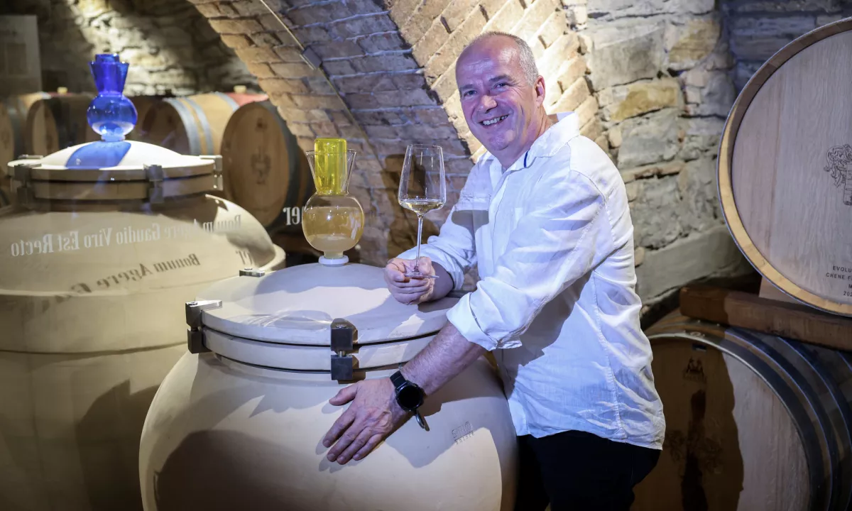 Enolog Darinko Ribolica: Vina morajo biti cenovno dostopna